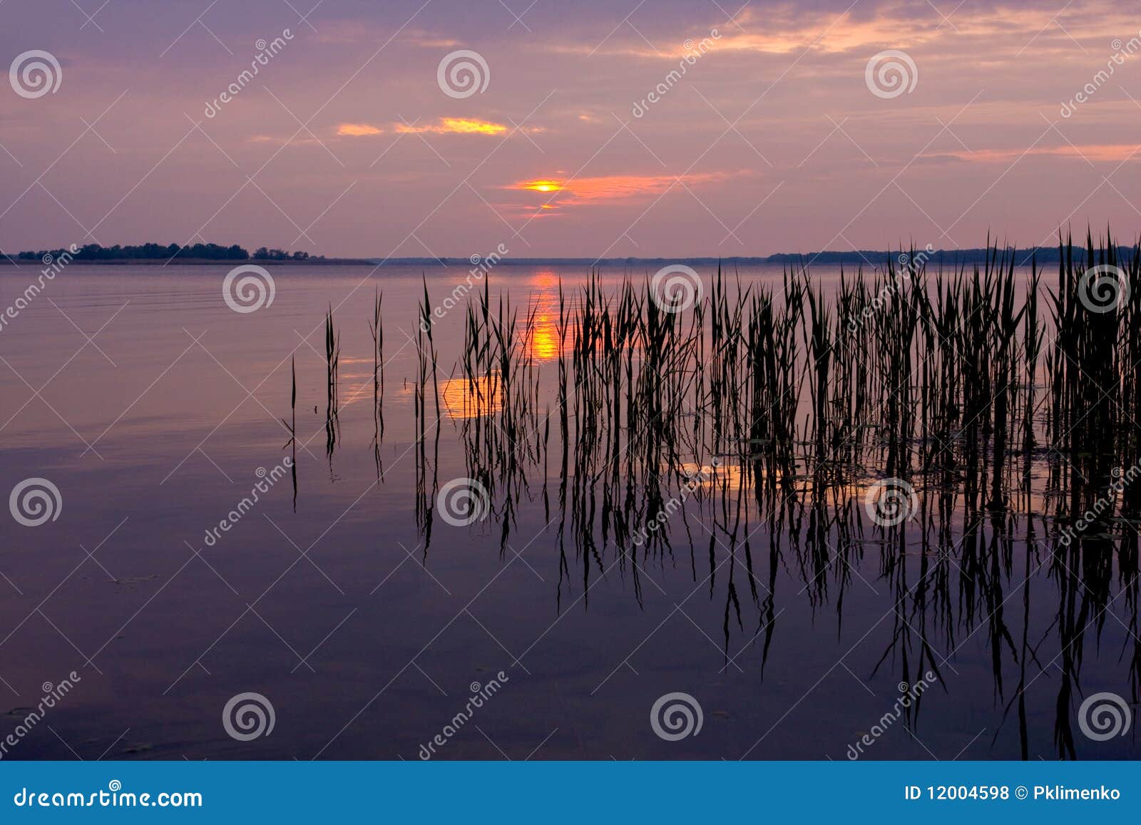 Sunset on river stock photo. Image of plant, peace, color - 12004598