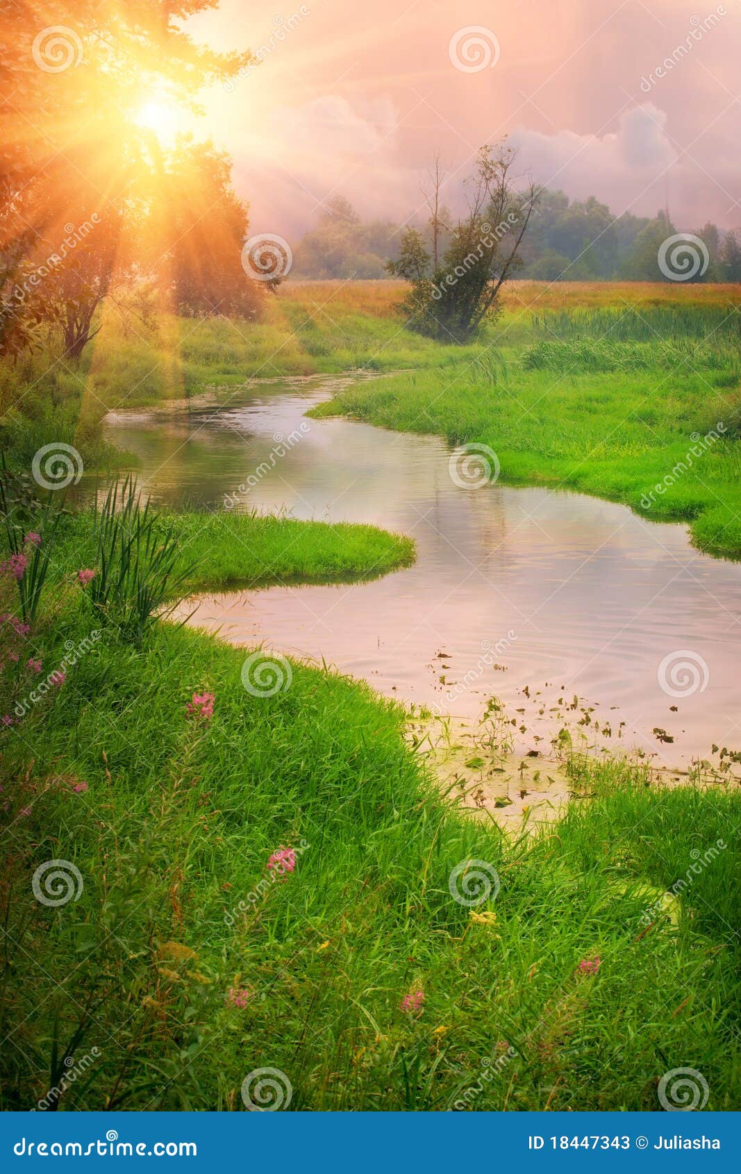 Sunset river stock image. Image of grass, cloudy, heavens - 18447343