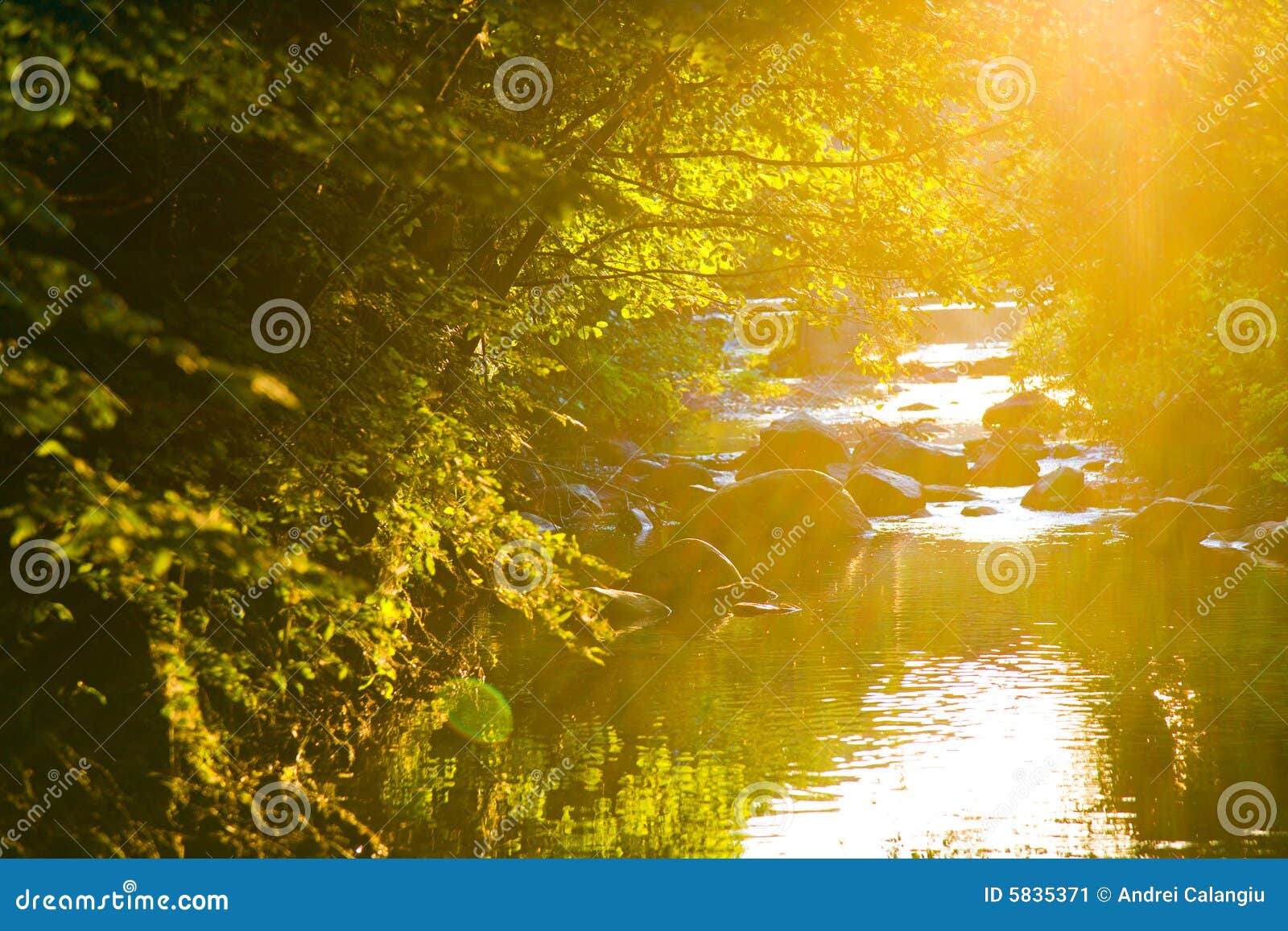 Sunset river stock image. Image of dusk, nature, stream - 5835371
