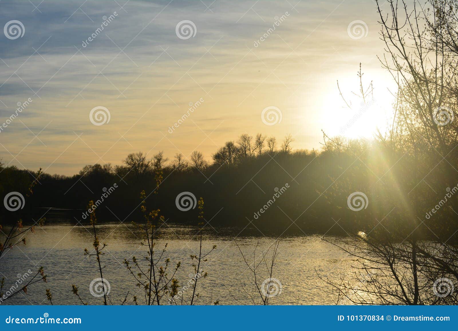 Sunset stock photo. Image of bank, sunset, forest, river - 101370834