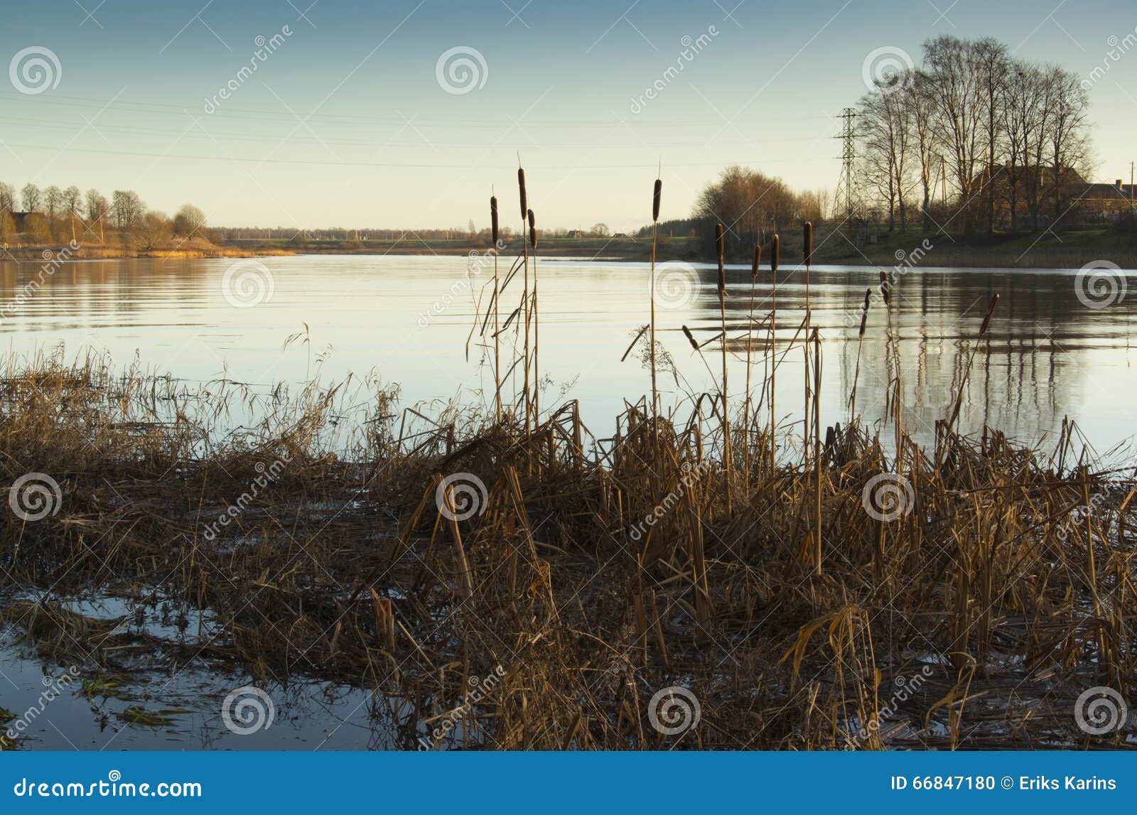 666 Reeds River Bank Sunset Stock Photos - Free & Royalty-Free Stock ...