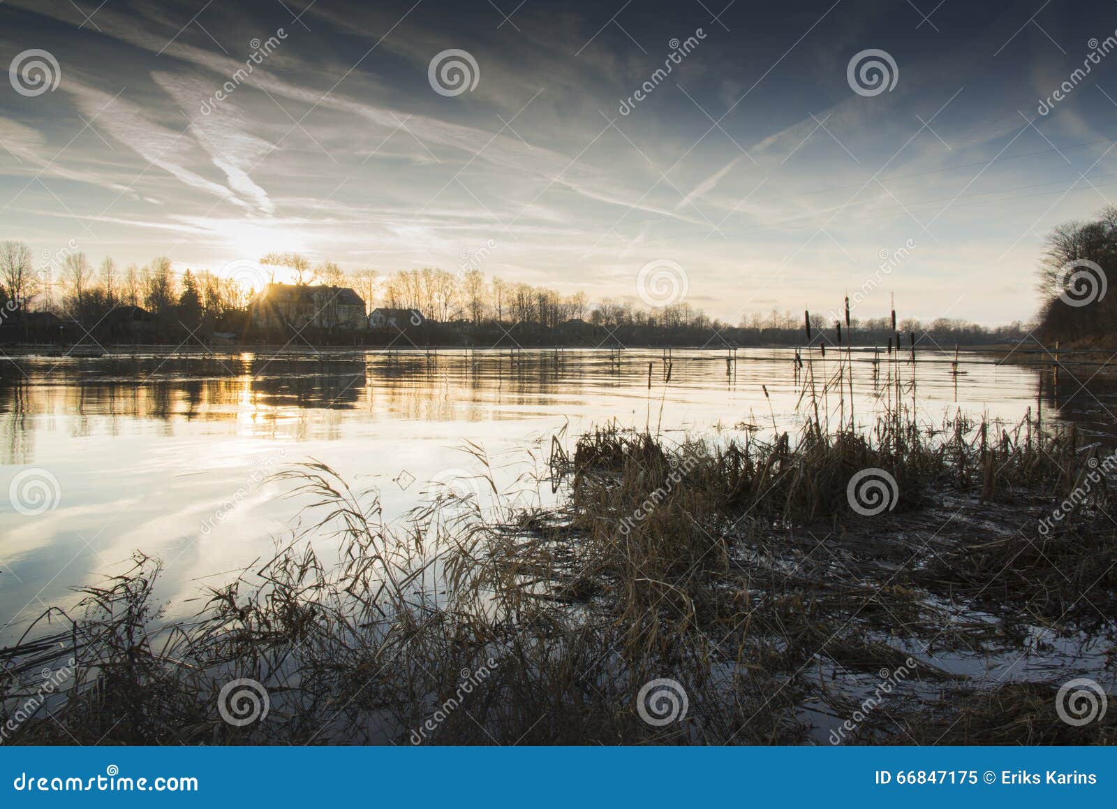 Sunset at River with Cattails Stock Image - Image of sunset, fish: 66847175