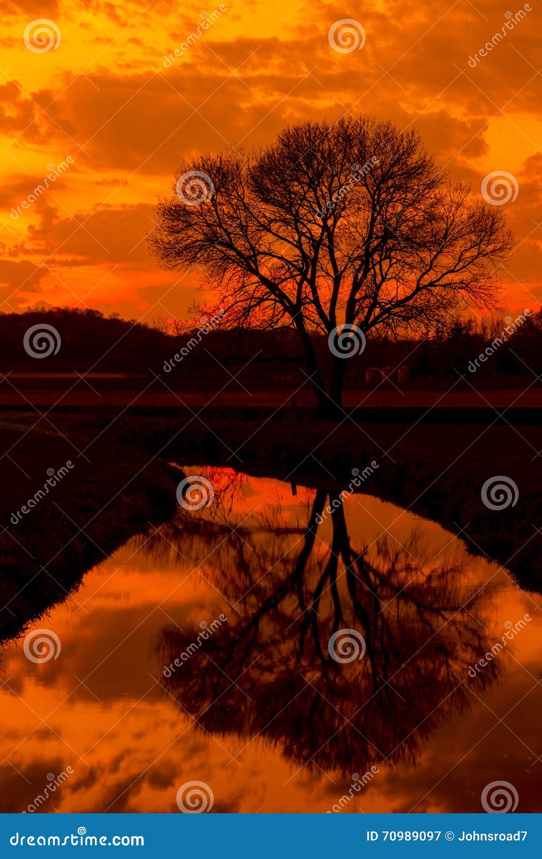 Sunset River and Tree stock image. Image of night, outdoors - 70989097