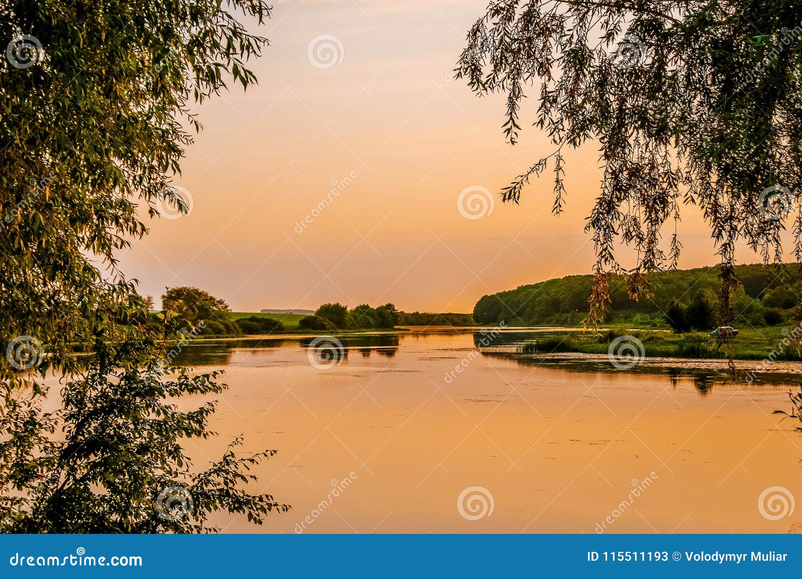 Sunset on River. Trees on Both Sides of River_ Stock Image - Image of ...