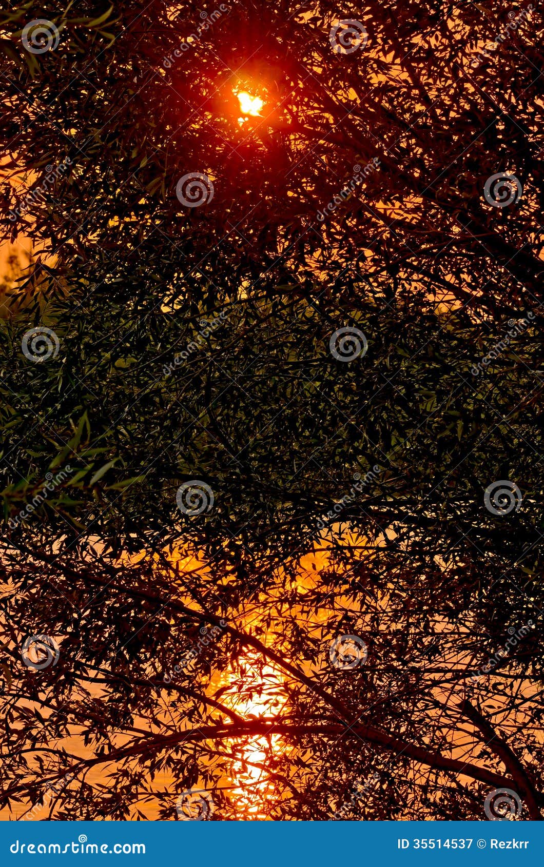 Sunset on the River with Trees Stock Image - Image of evening, summer ...