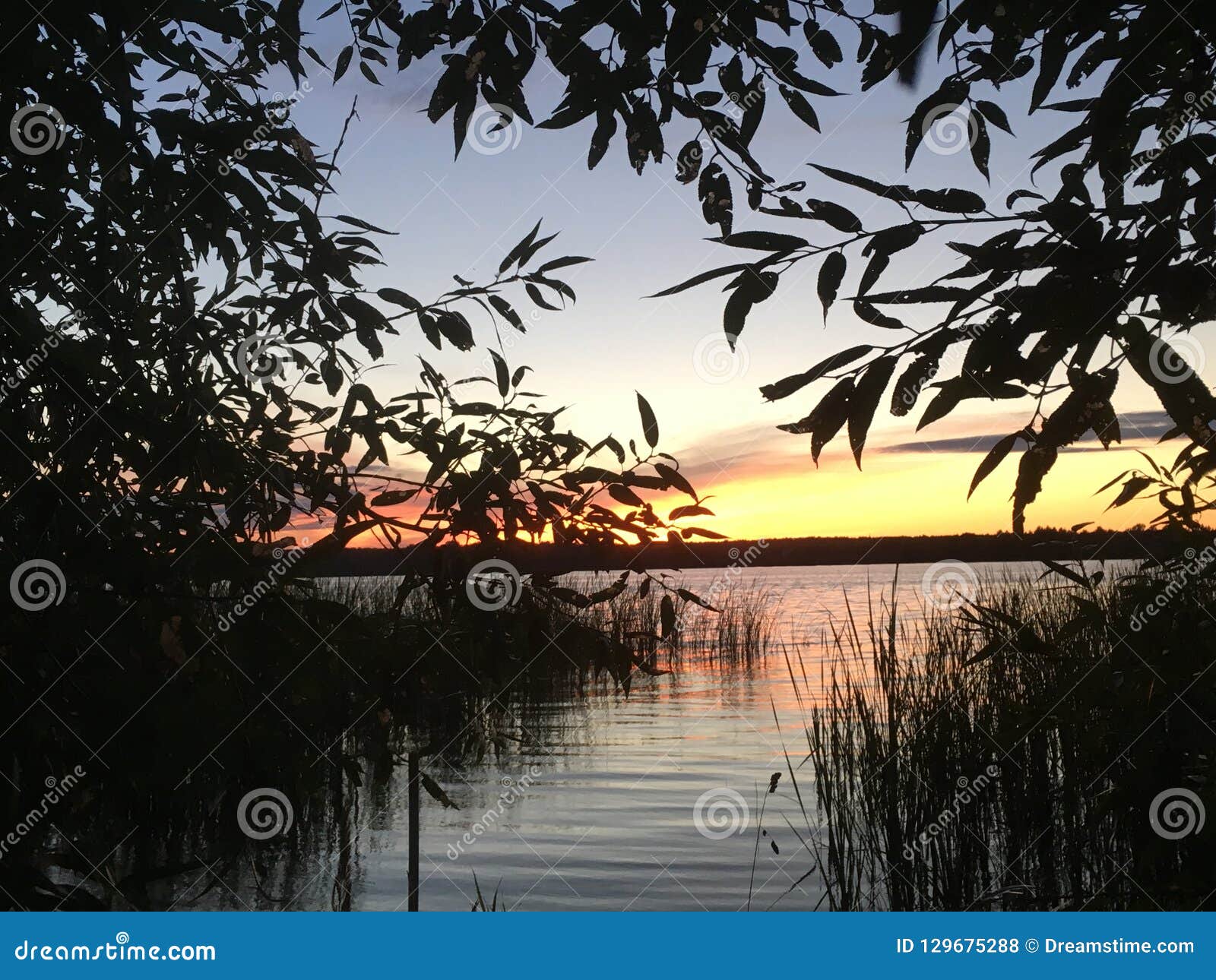 Sunset in the River, View from Under the Tree Stock Photo - Image of ...