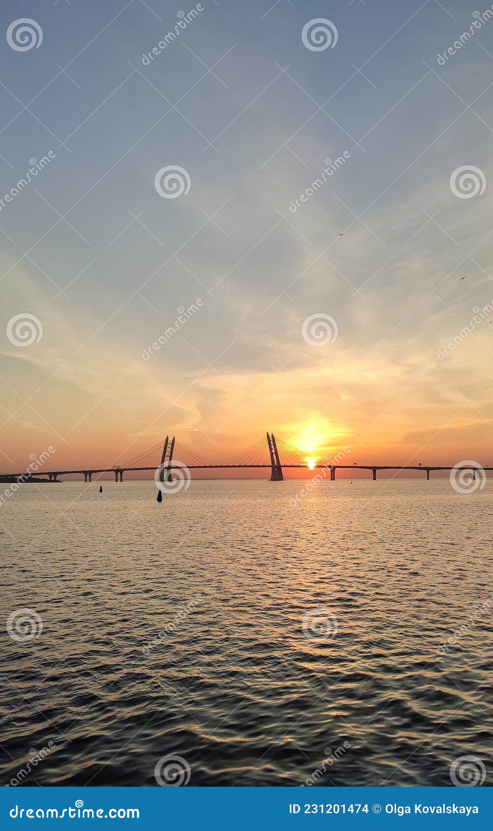 Sunset, road bridge stock photo. Image of morning, coast - 231201474