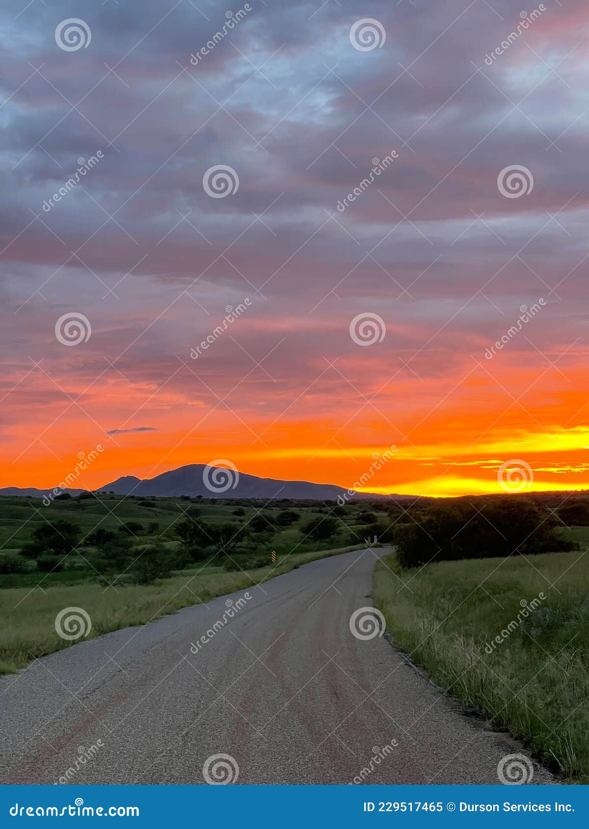 Sunset Road Grassland Prairie in Arizona Stock Image - Image of field ...