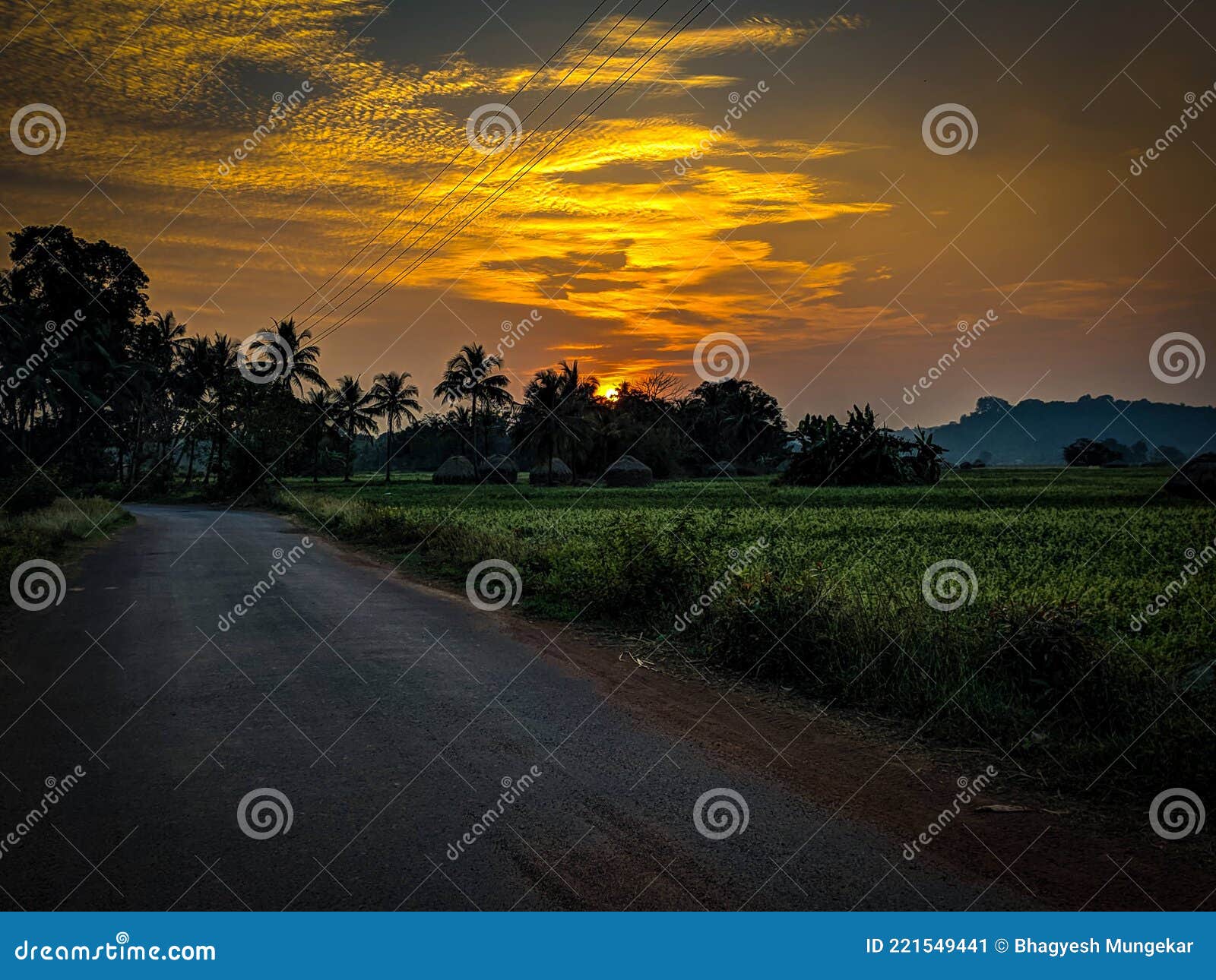 Sunset at roadside stock image. Image of plant, nature - 221549441