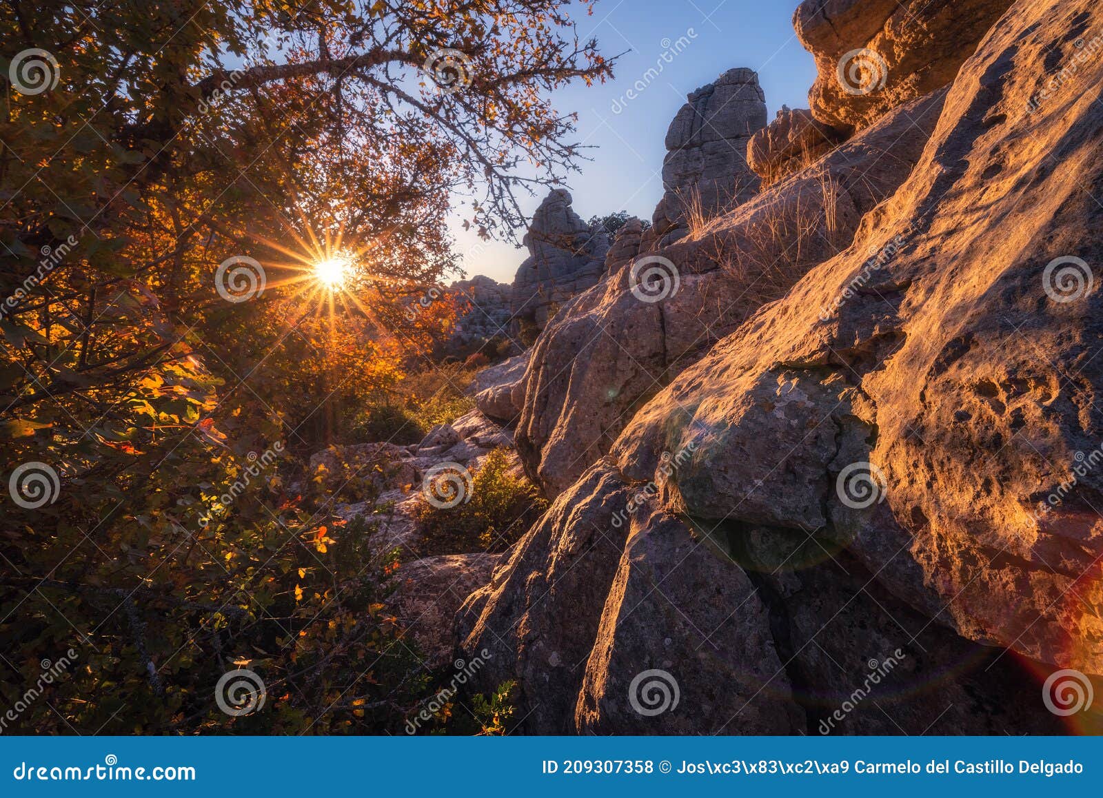 Sun Hiding Behind Trees and Rocks Stock Photo - Image of scenery ...
