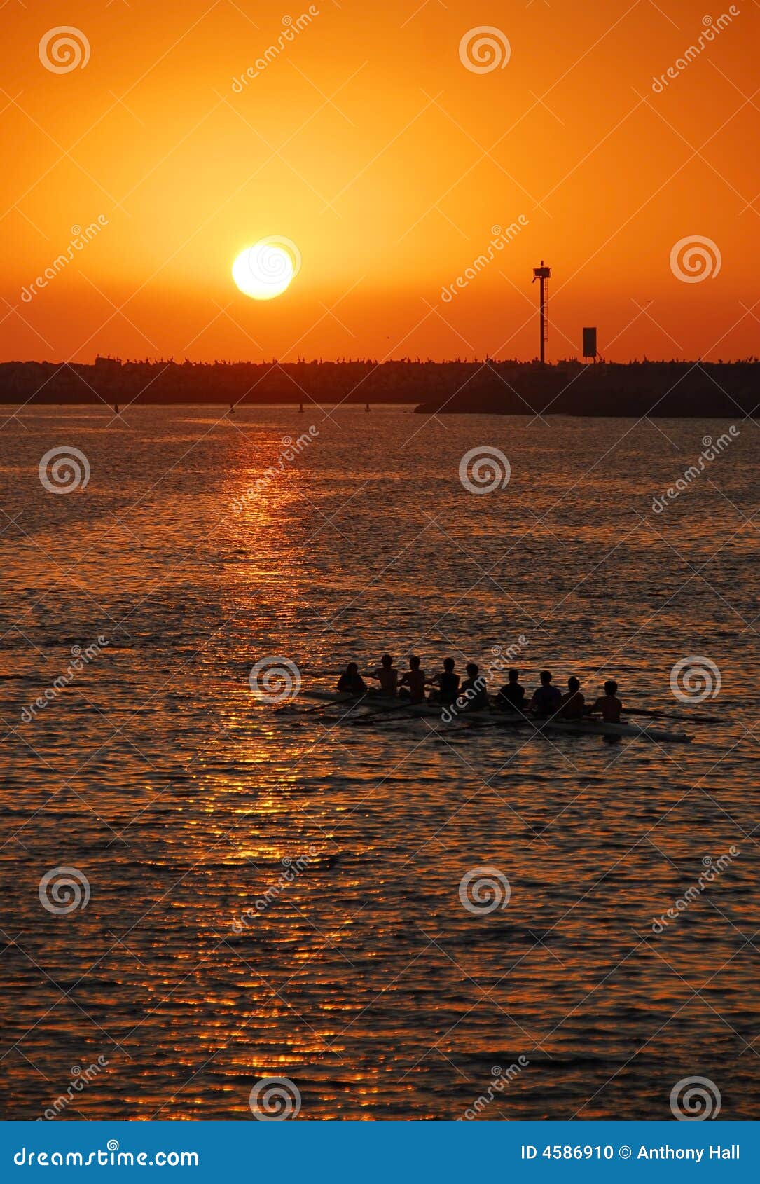 Sunset Rowing Crew stock photo. Image of twilight, team - 4586910