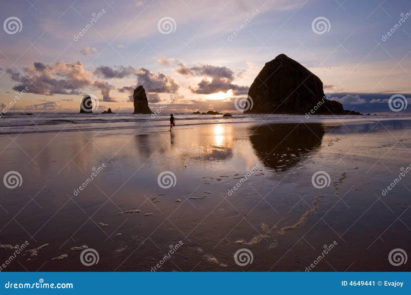 Sunset Runner on the Beach stock image. Image of sunset - 4649441