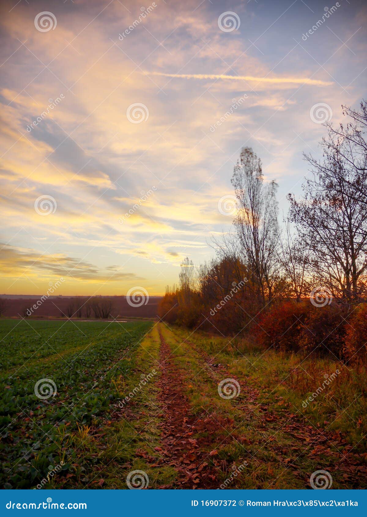 Sunset in a rural country stock photo. Image of beautiful - 16907372