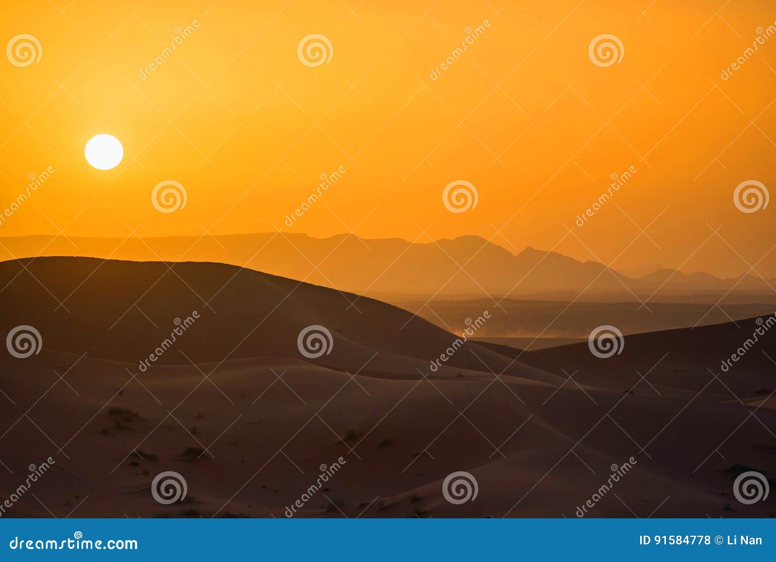 Sunset in Sahara Desert stock photo. Image of life, east - 91584778