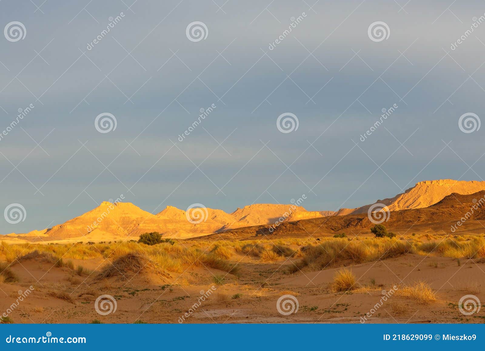 Sunset in the Sahara Desert Stock Image - Image of trip, sunset: 218629099