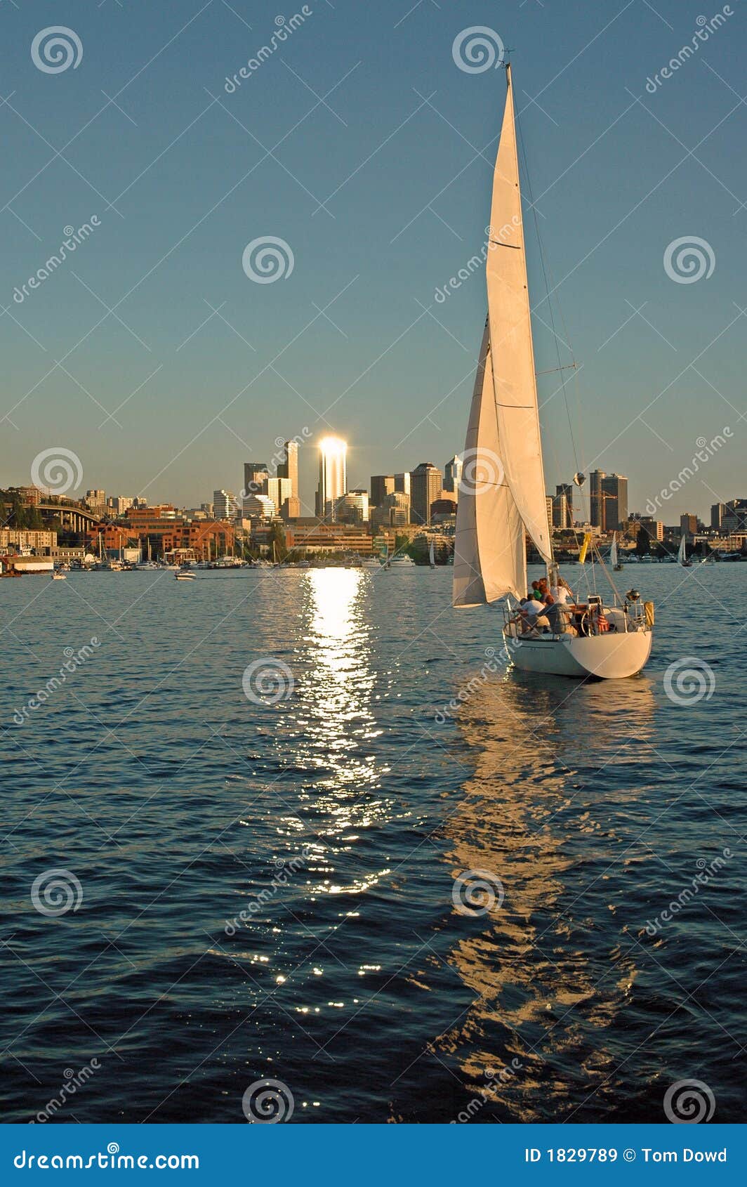 Sunset Sail stock image. Image of buildings, sailing, powered - 1829789