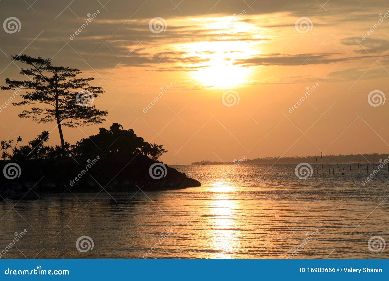 Sunset in Samoa stock photo. Image of destinations, tree - 16983666