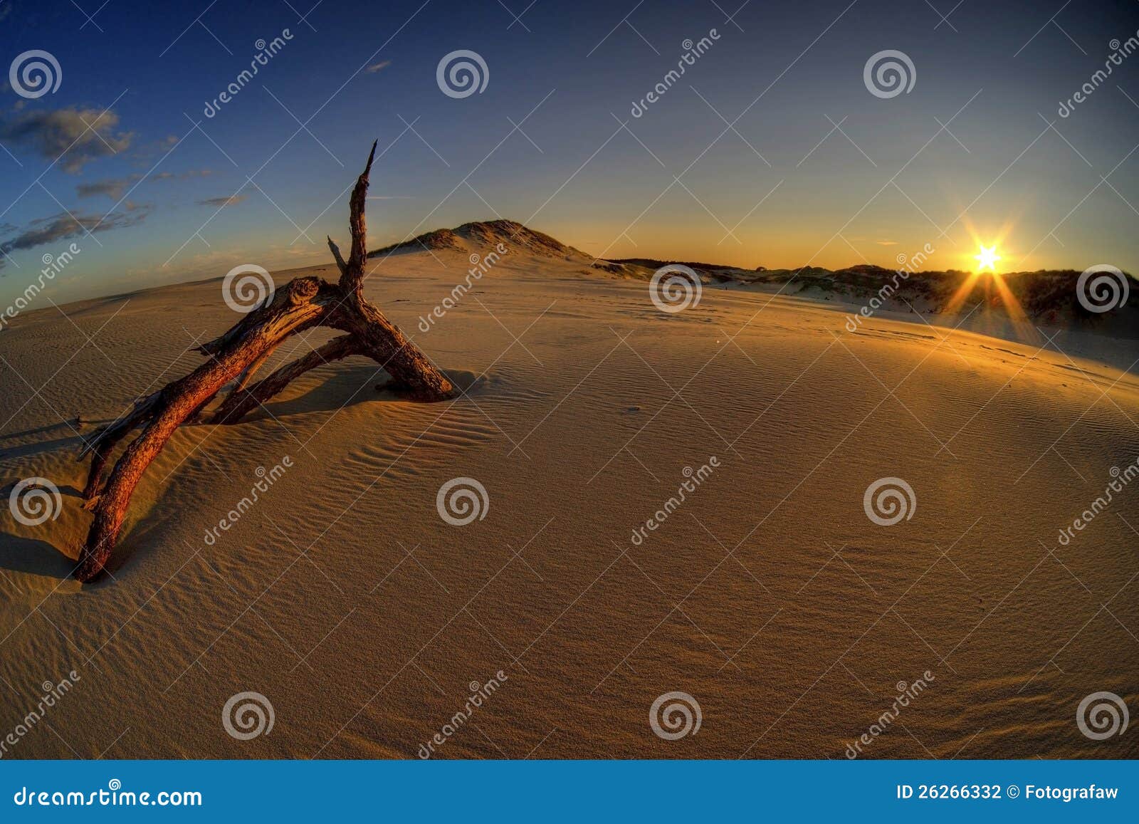 Sunset on sand dunes stock photo. Image of sunset, sand - 26266332