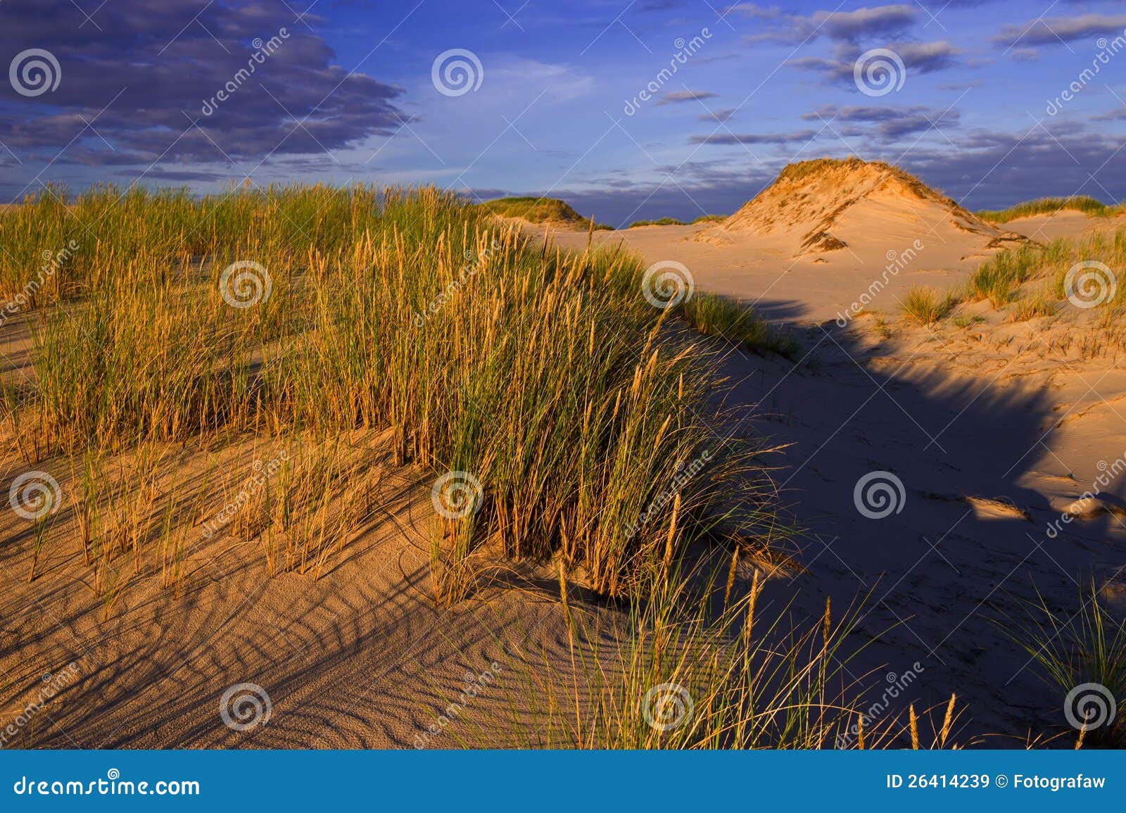Sunset on sand dunes stock image. Image of dune, drought - 26414239