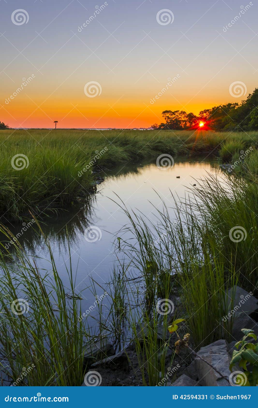 Sunset Sandy Hook stock image. Image of landscape, marshes - 42594331