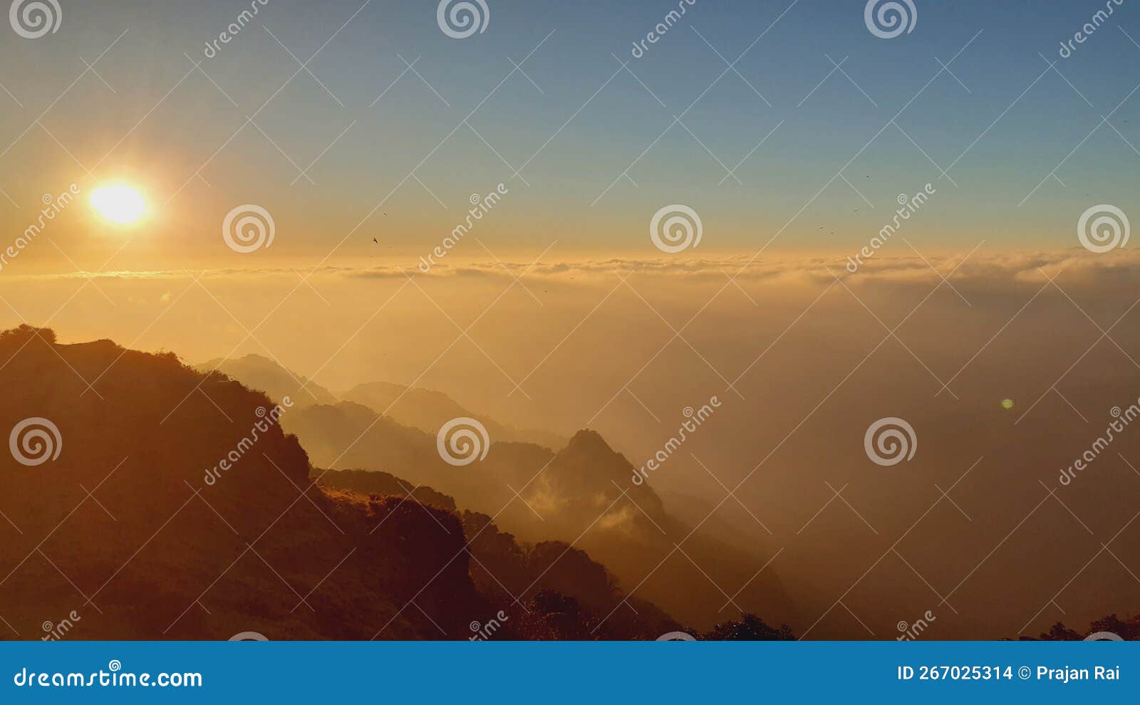 Sunset Scene Golden Hour for Photography Stock Photo - Image of golden ...