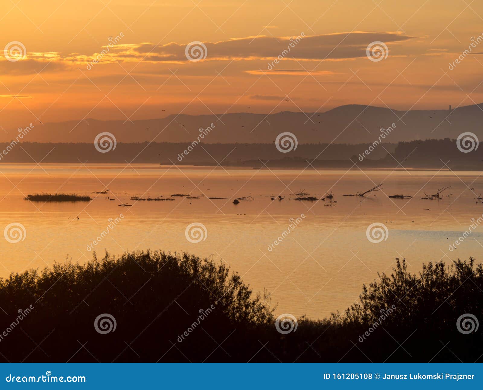 Sunset scene on lake stock photo. Image of mist, morning - 161205108