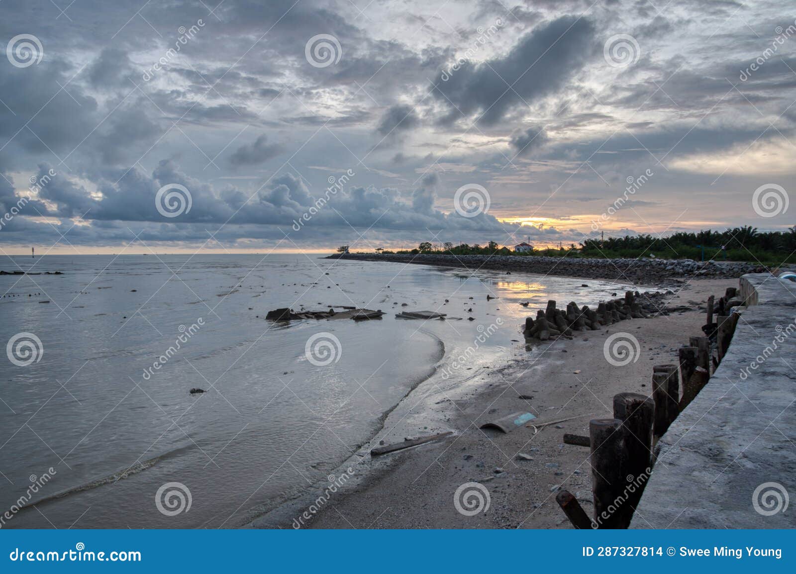 Sunset Scene at the Low-tide Swampy Beach Stock Photo - Image of nature ...