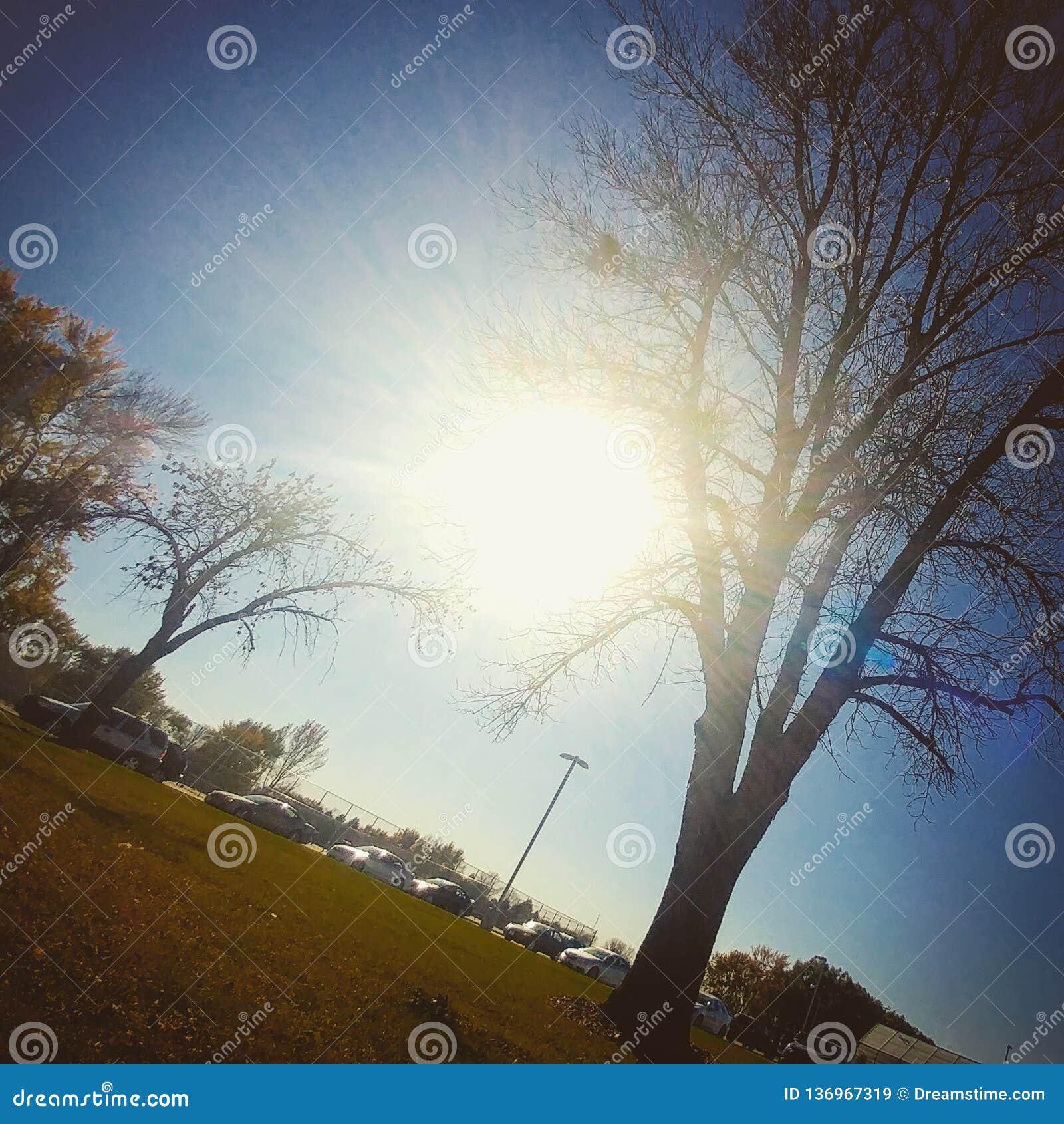 Sunset at School stock image. Image of parkinglot, trees - 136967319