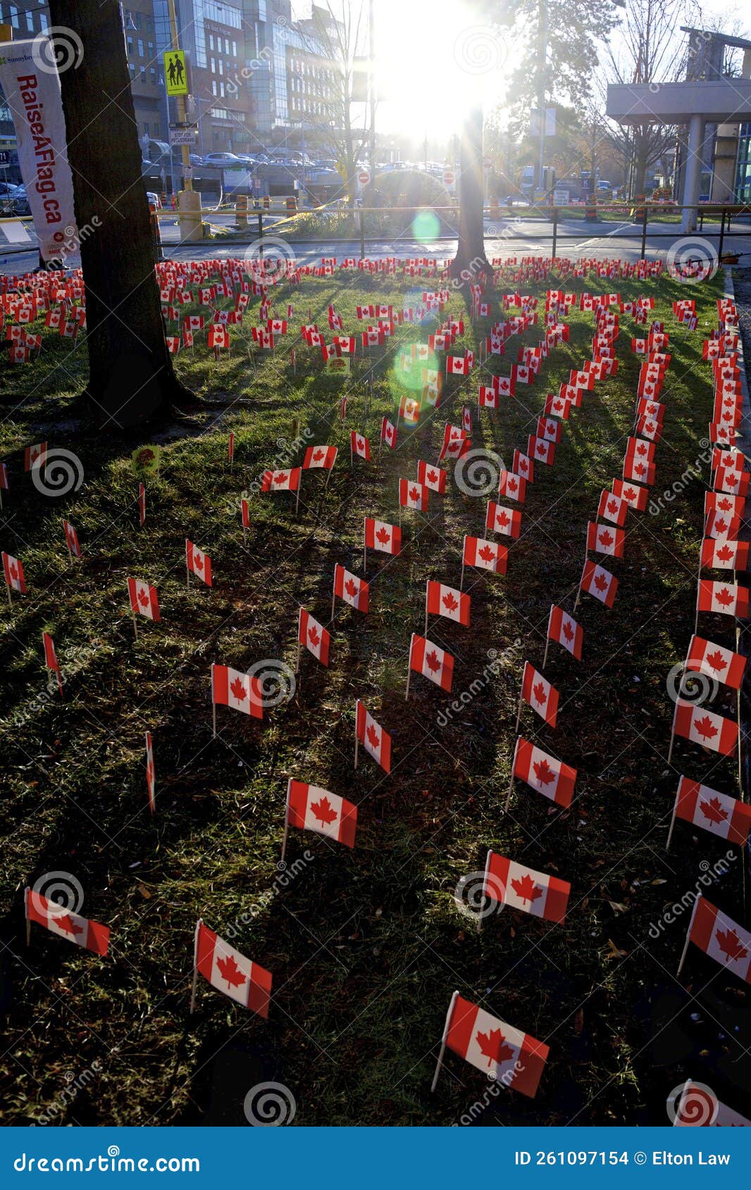 Sunset on a Sea of Flags with Lens Flare Stock Photo - Image of craft ...