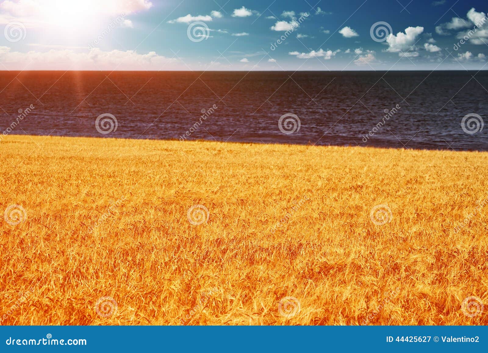 Sunset at sea stock image. Image of sunny, water, horizon - 44425627