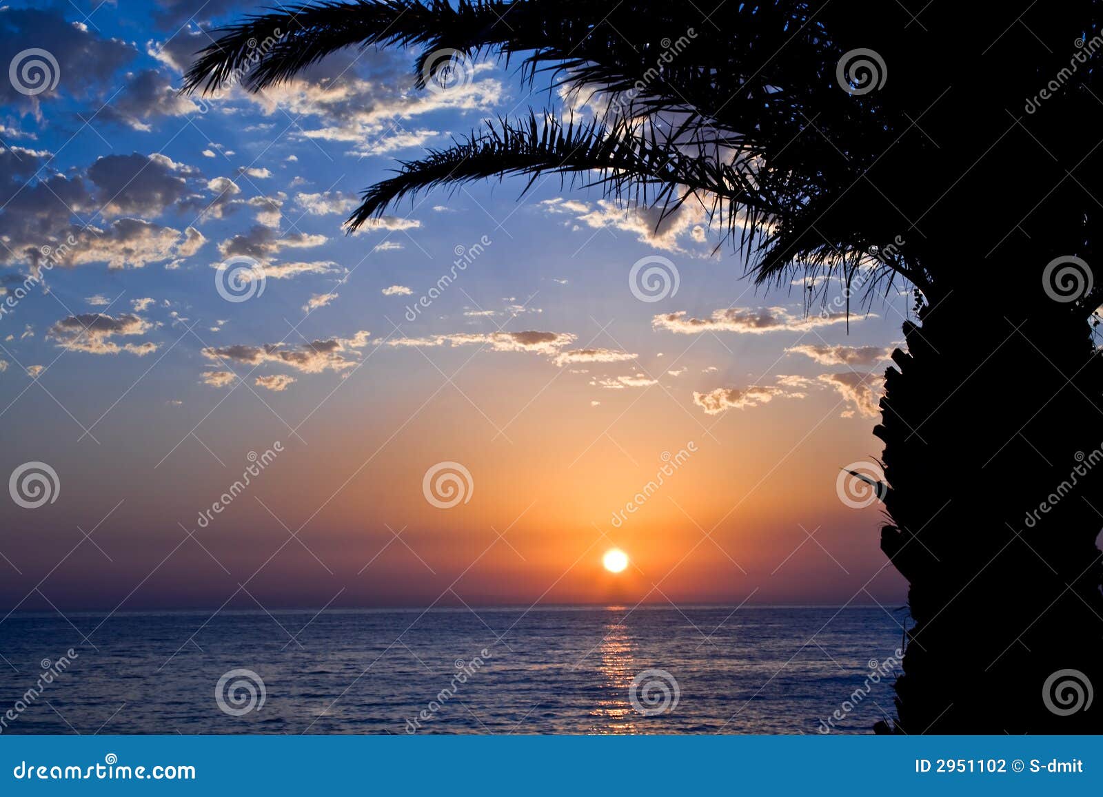 Sunset with sea and palm stock photo. Image of journey - 2951102