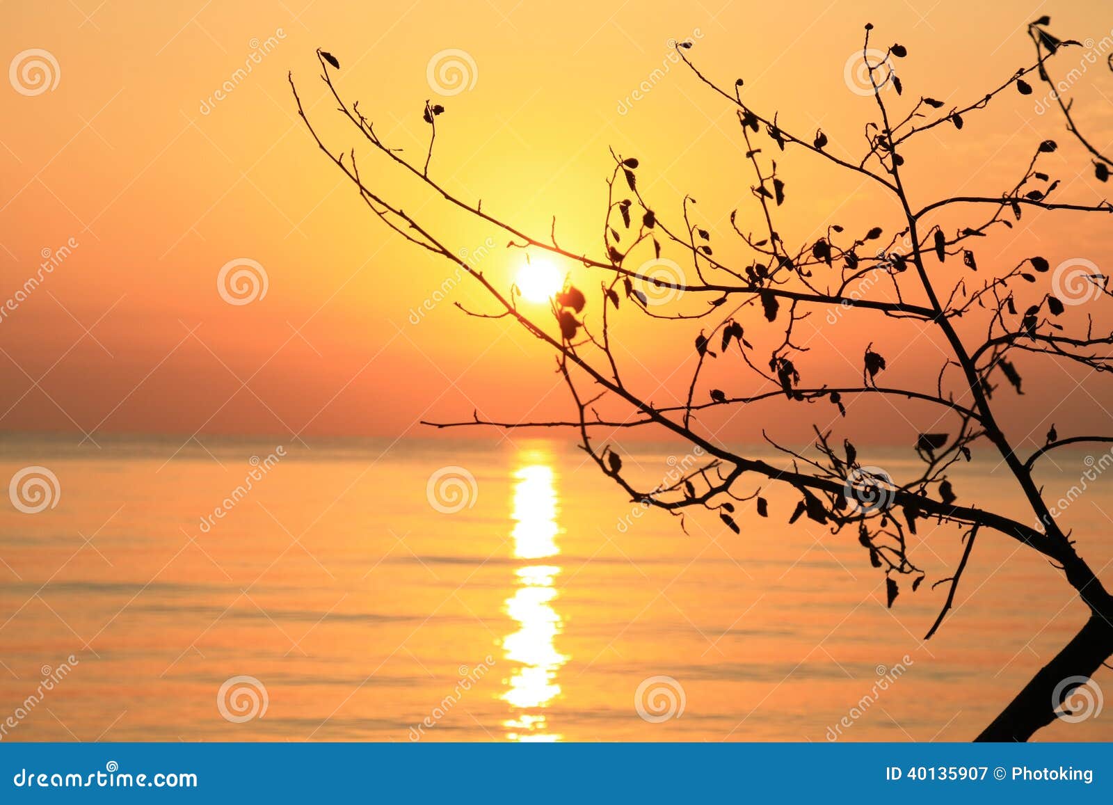 Sunset at sea stock image. Image of sailing, background - 40135907