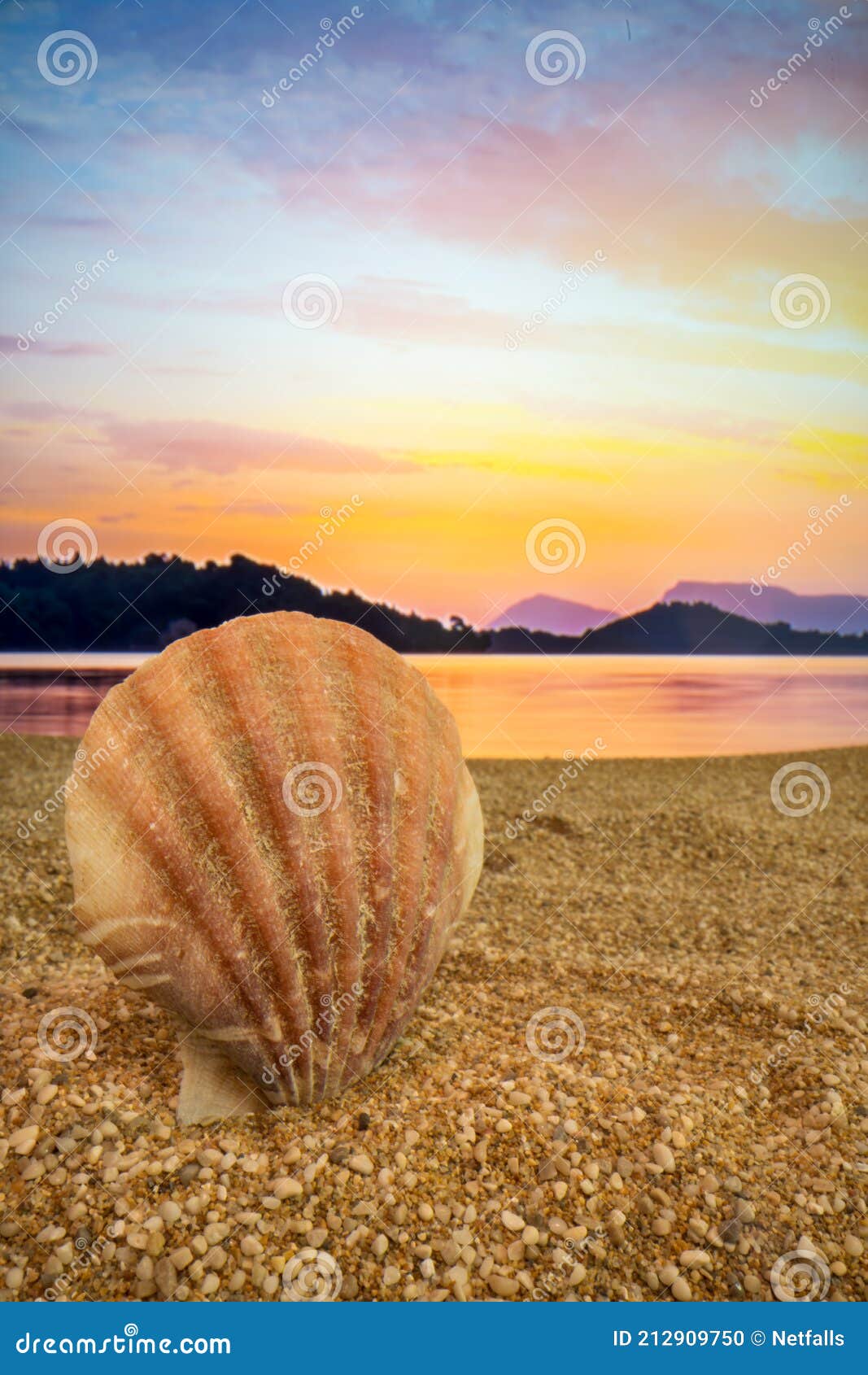 Sunset Seashell on the Beach Stock Photo - Image of coast, resort ...