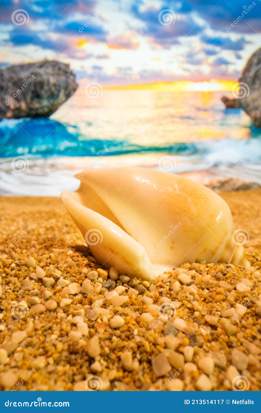 Sunset Seashell on the Beach Stock Image - Image of ocean, nature ...