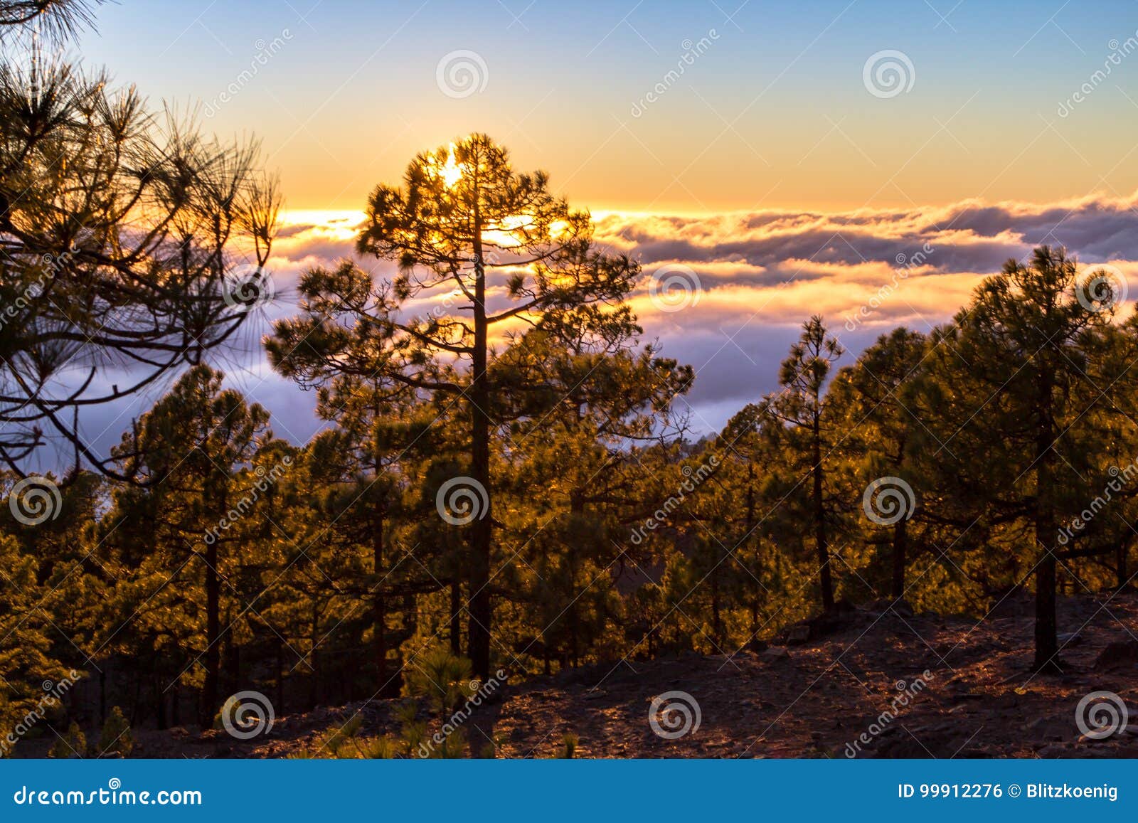 Sunset Seen from the Forest Above Clouds Stock Photo - Image of haze ...