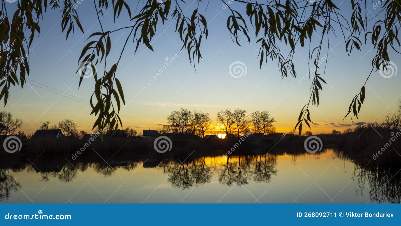 Sunset Seen through Tree Branches Stock Image - Image of scenic ...