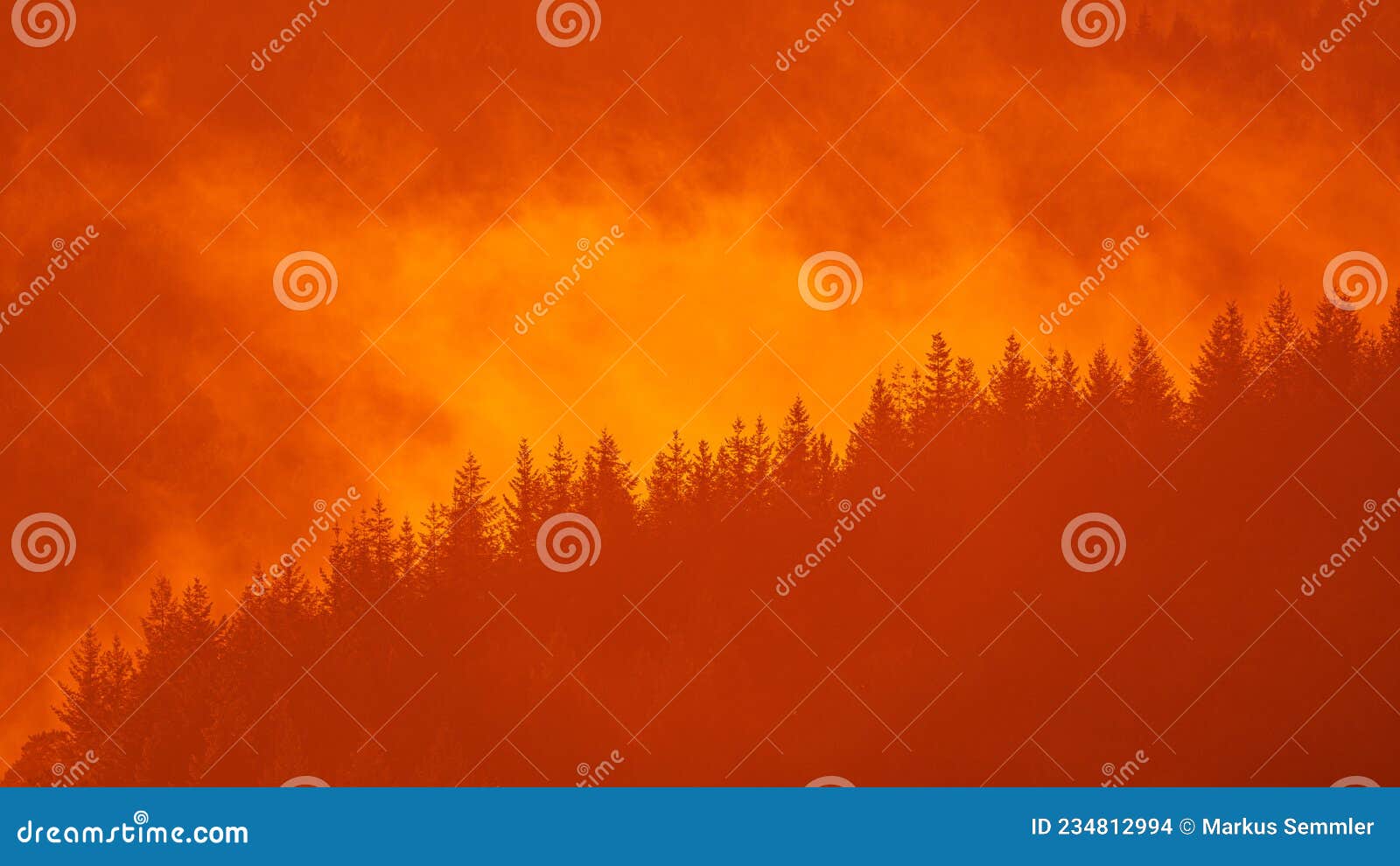 The Sunset Sets the Black Forest on Fire Stock Photo - Image of fall ...