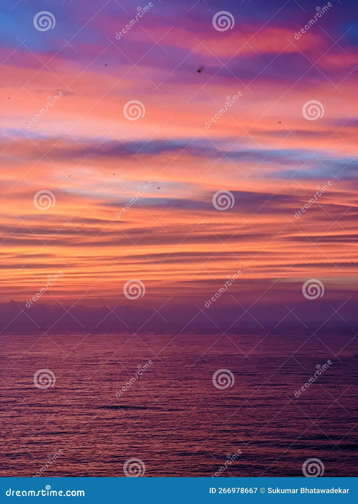 Sunset shades stock image. Image of shades, ocean, evening - 266978667