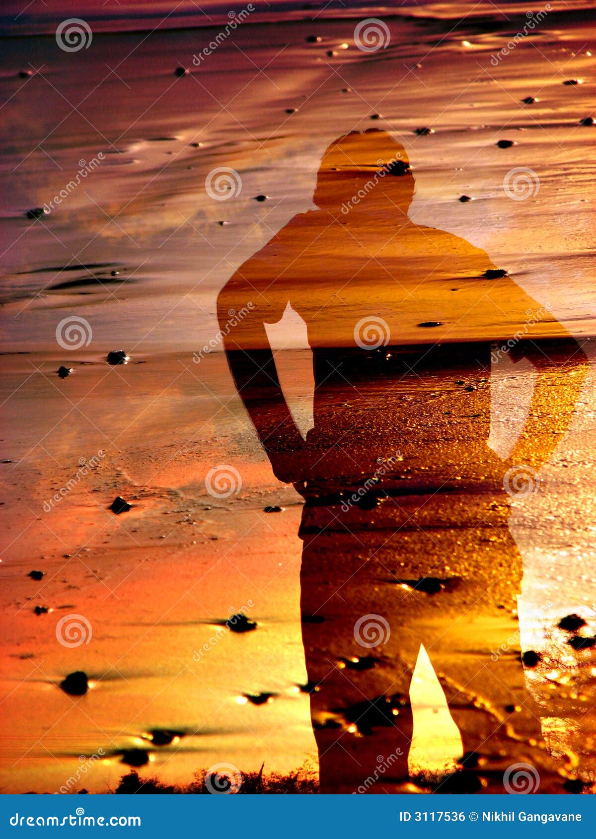 Sunset Shadow stock photo. Image of glow, colorful, concept - 3117536