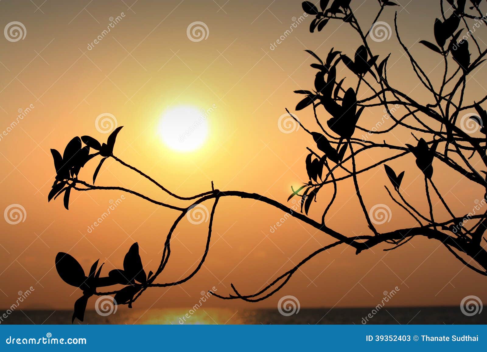 Sunset and shadow stock image. Image of gold, focus, cloud - 39352403
