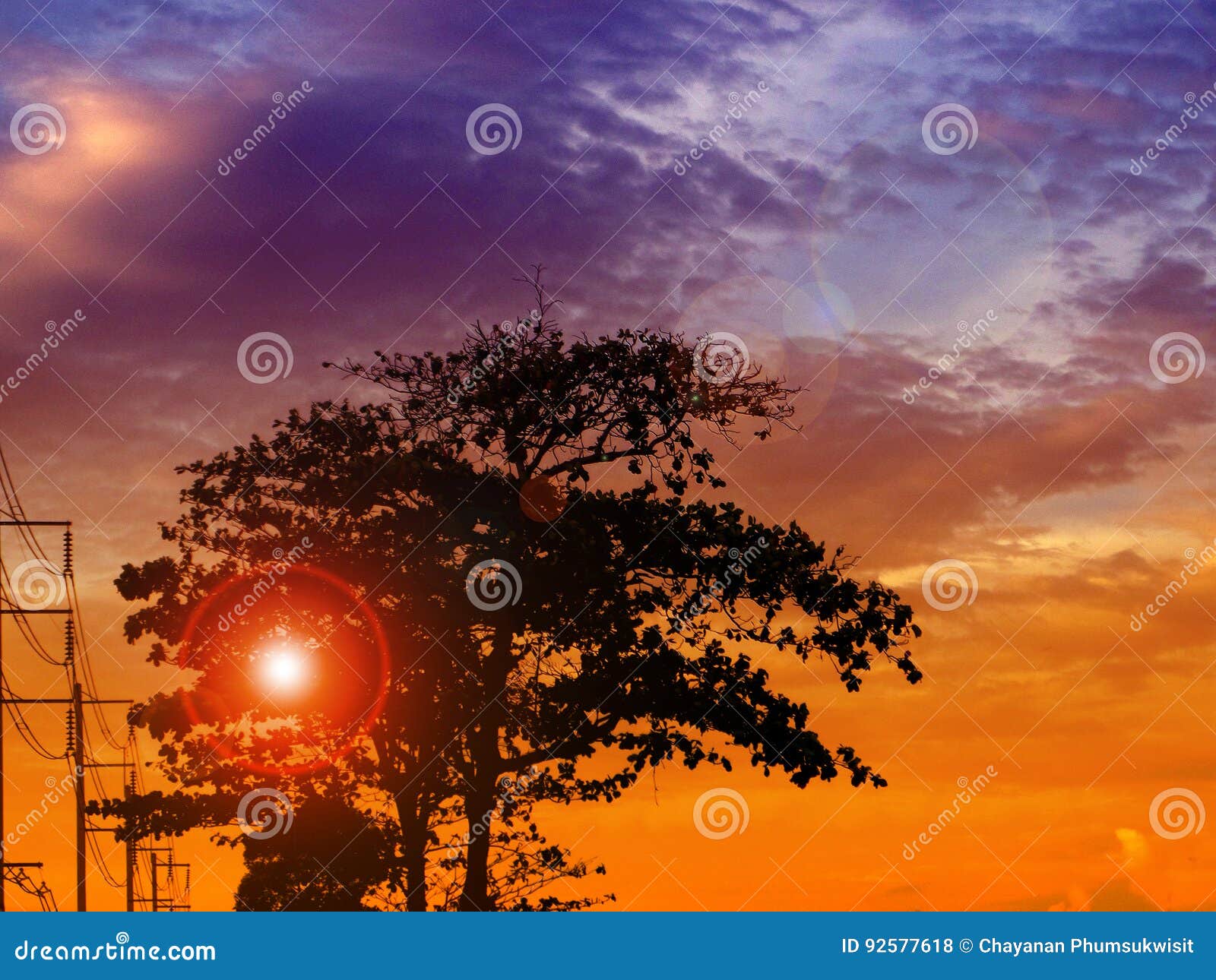 Sunset and Shadow Tree in Evening Dark Sky Stock Photo - Image of ...