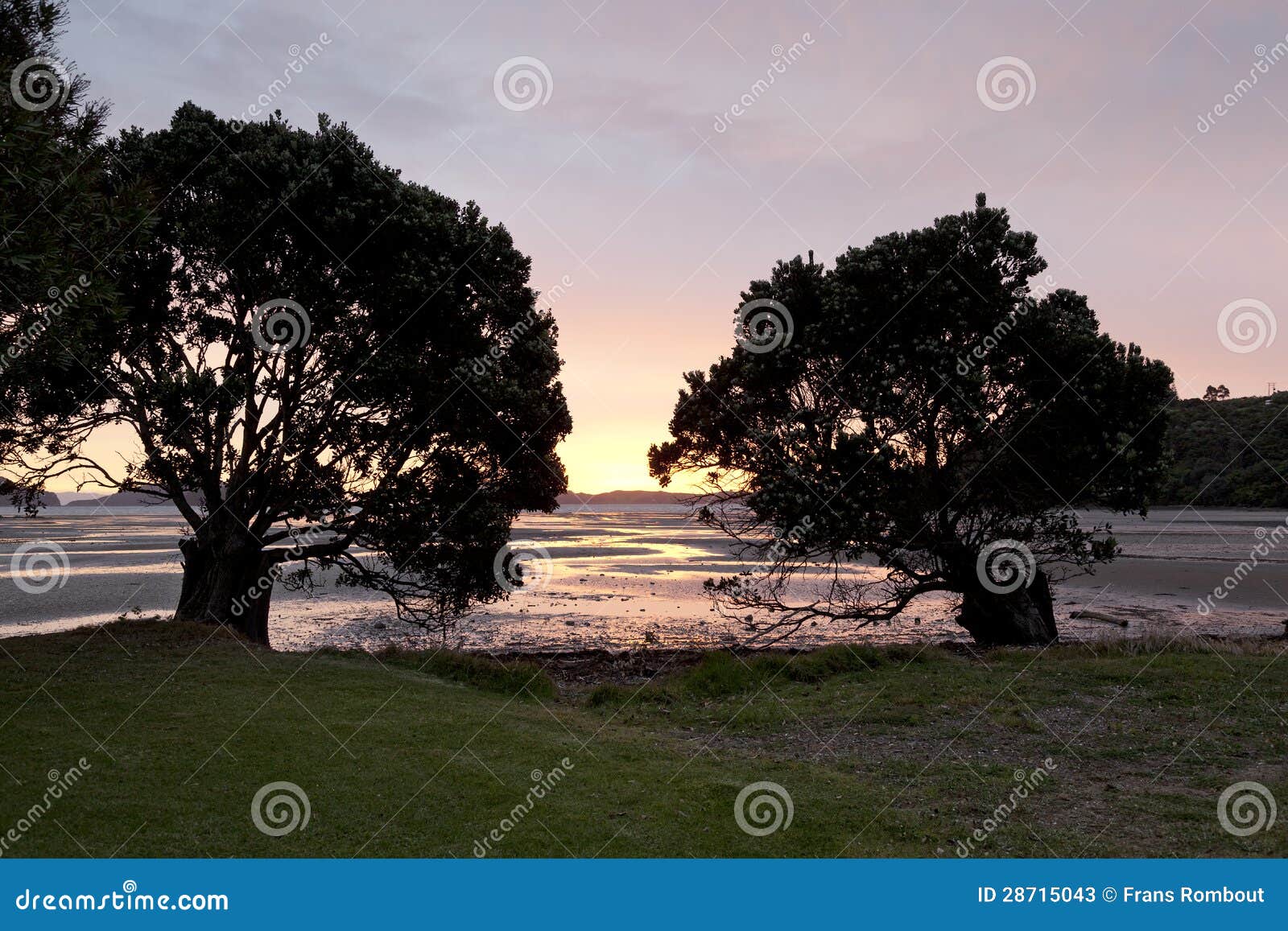 Sunset on Shelly beach stock image. Image of landscape - 28715043
