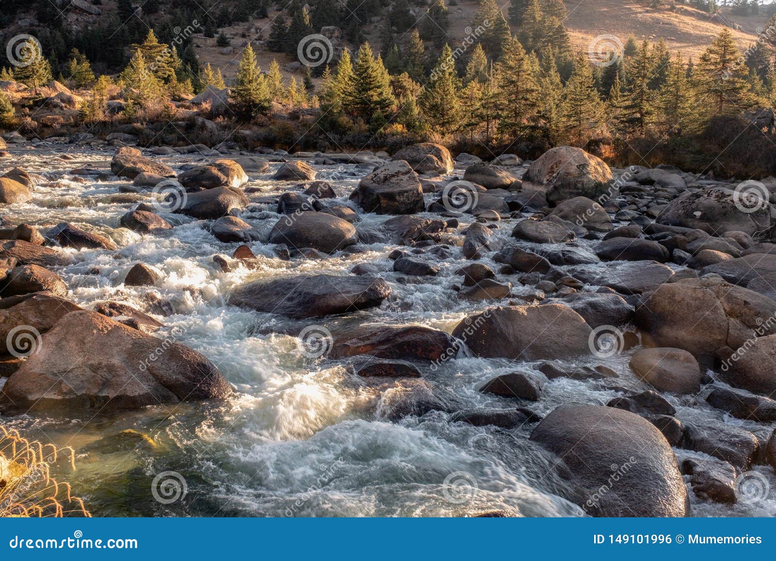 Sunset Shining on Pine Forest with Waterfall Flowing in National Park ...