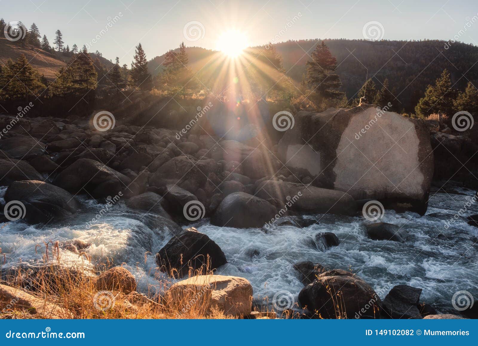 Sunset Shining on Pine Forest with Waterfall Flowing in National Park ...