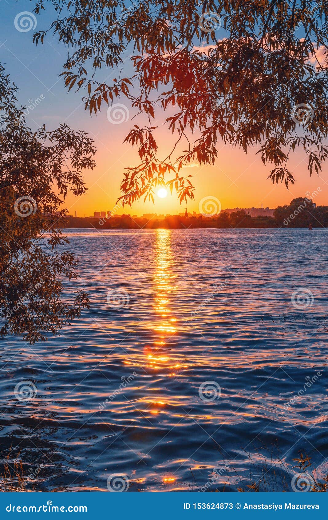 Reflection Sun Water Stock Images - Download 270,174 Royalty Free Photos