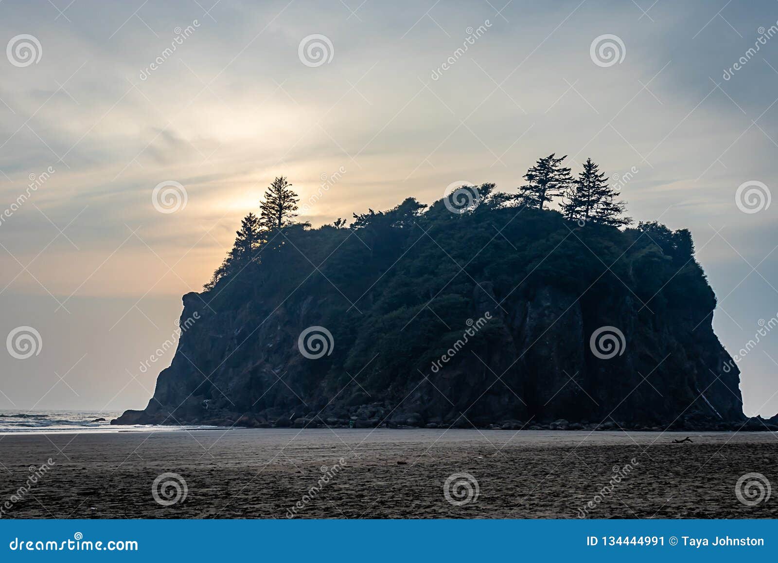Large Forested Sea Stack in Washington State Stock Image - Image of ...