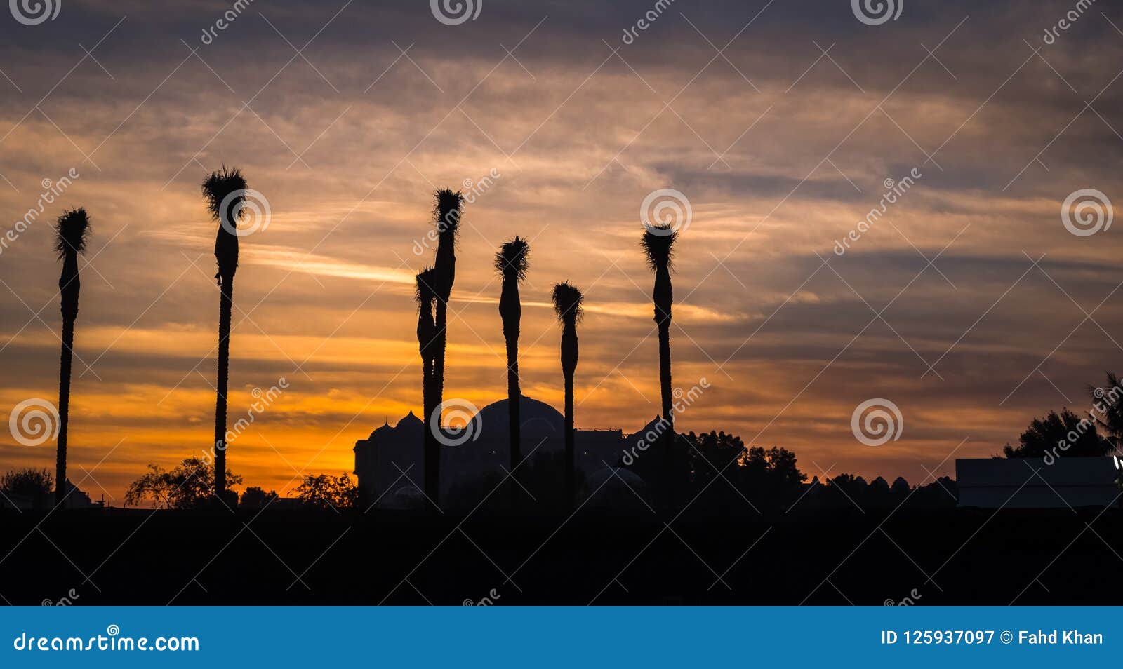 Sunset and Silhouette of Palm Trees Editorial Photography - Image of ... Sunset and Silhouette of Palm Trees Editorial Photography - Image of ...