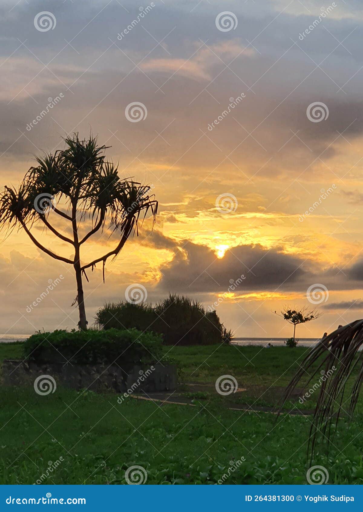 Sunset stock photo. Image of sunset, screenshot, sunlight - 264381300