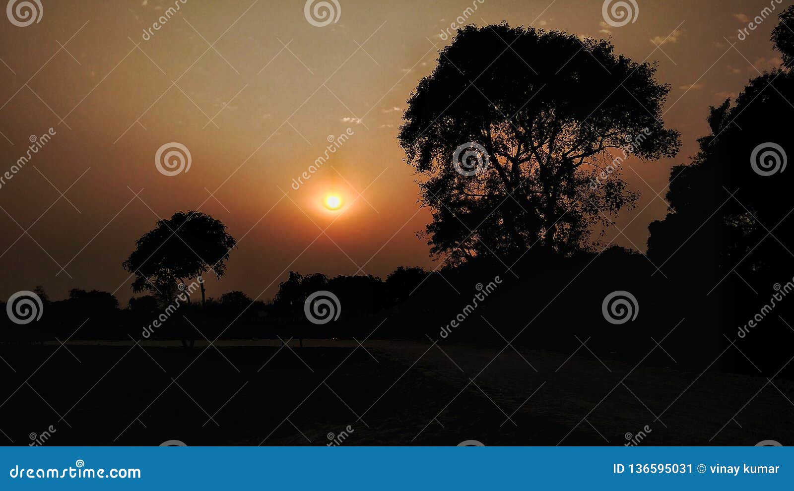 Sunset , Silhouetted , Tree Stock Image - Image of trees, lamp: 136595031