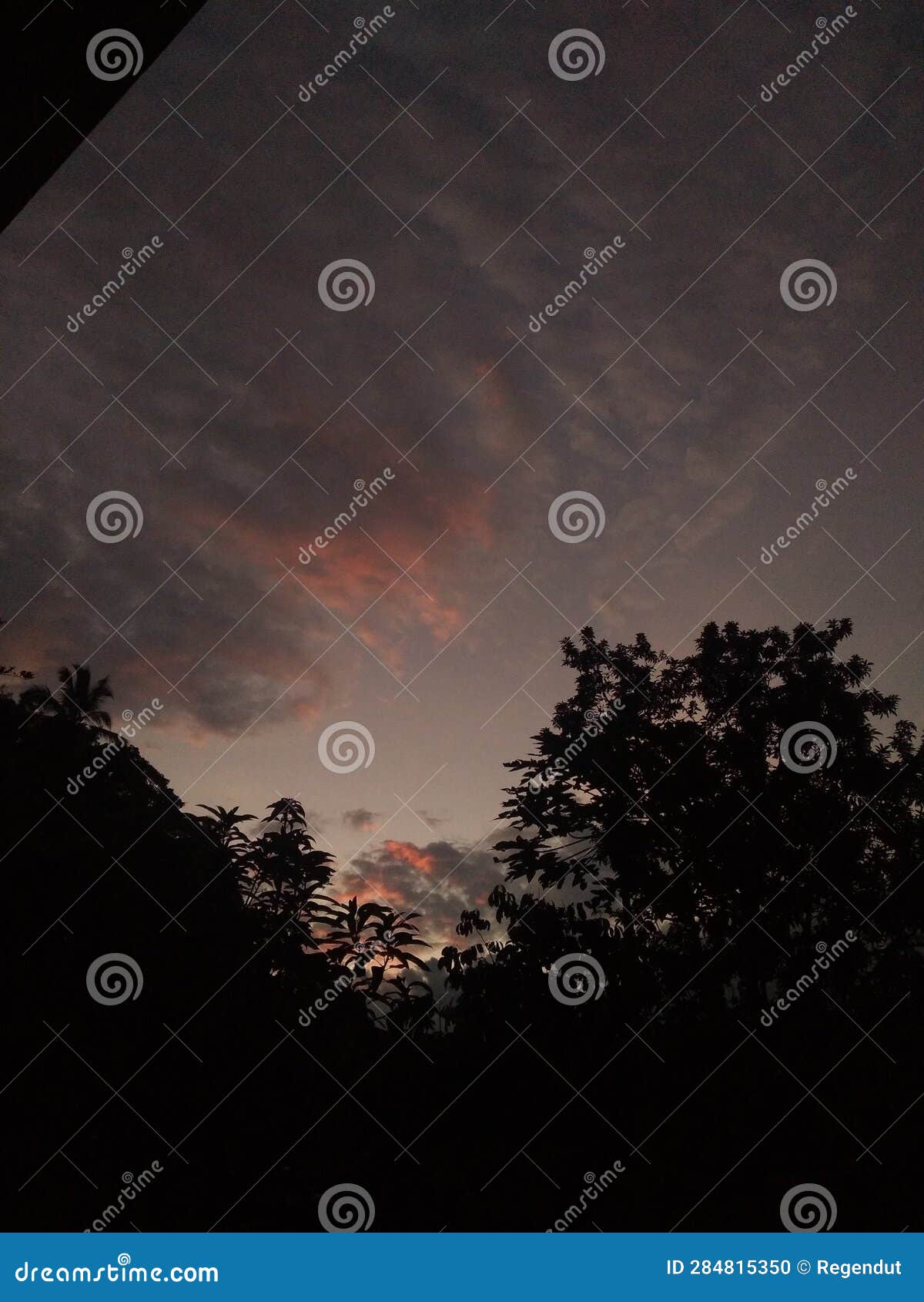 Sunset stock photo. Image of tree, dark, sunset, beautiful - 284815350